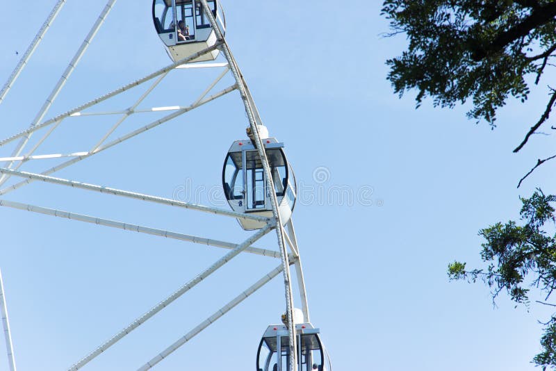 White Ferris Wheel Over Blue Sky and Branches of Trees Stock Image ...