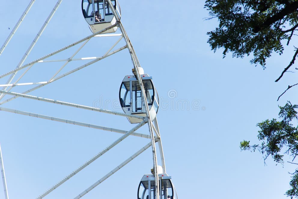White Ferris Wheel Over Blue Sky and Branches of Trees Stock Image ...
