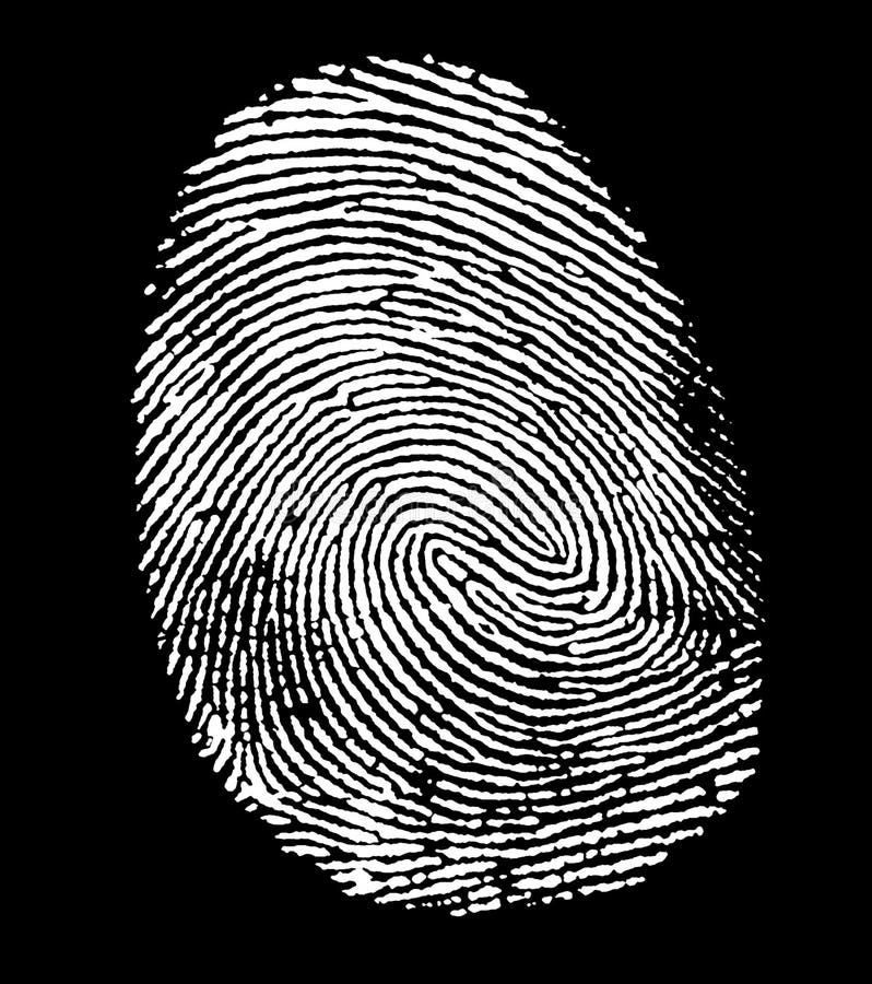 White fingerprint stock illustration. Illustration of archetype - 64989886