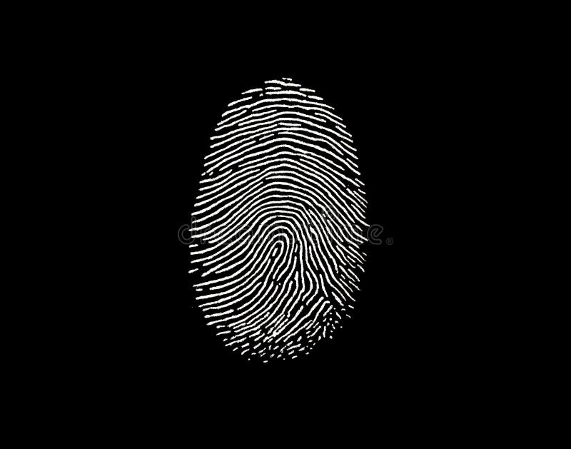 White Fingerprint Pattern on Black Background, Unique Identity Concept ...
