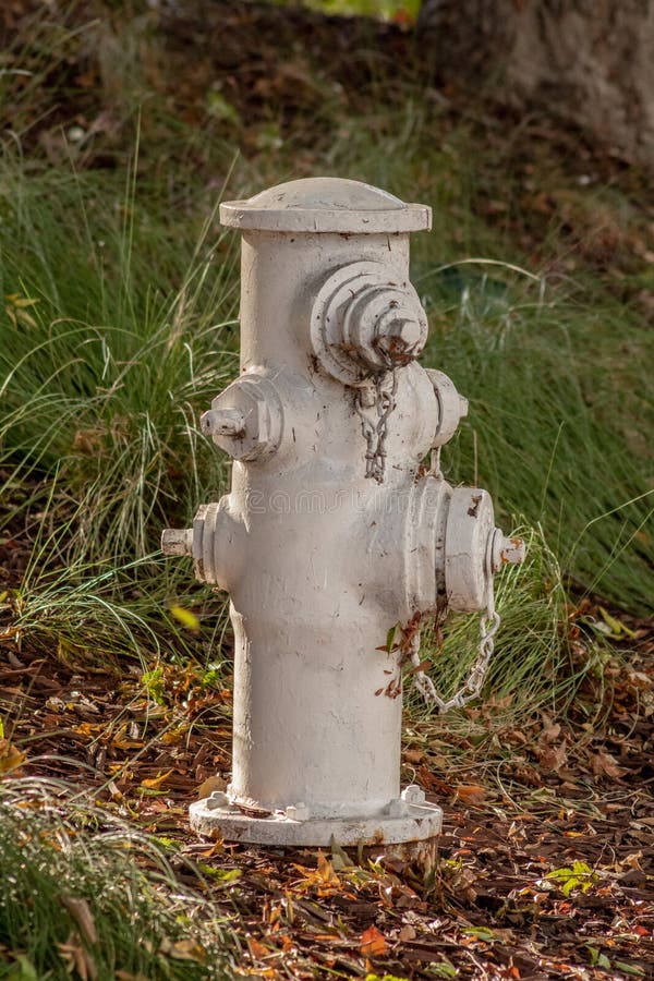 A White Fire Hydrant in the Autumn Stock Photo - Image of metal, fall ...