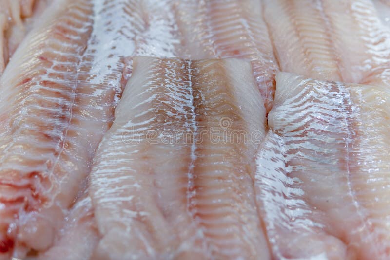 White Fish Fillet on Ice in a Supermarket Stock Image - Image of ...