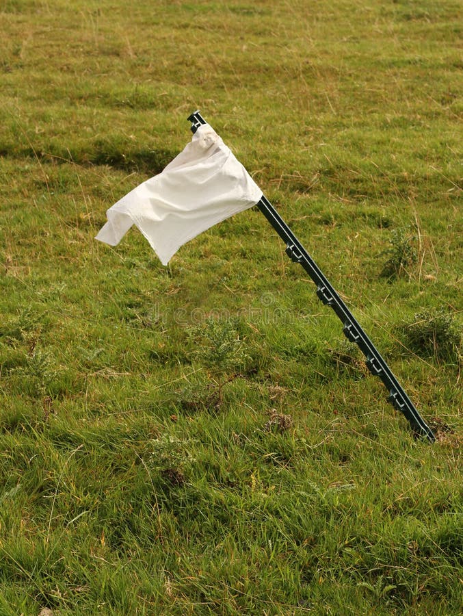 Waving a white flag stock image. Image of symbol, textile - 18195687