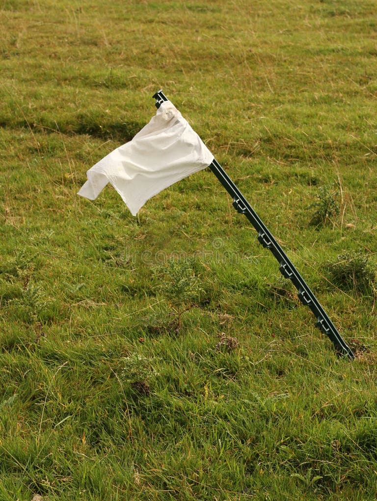 887 Surrender White Flag Stock Photos - Free & Royalty-Free Stock ...