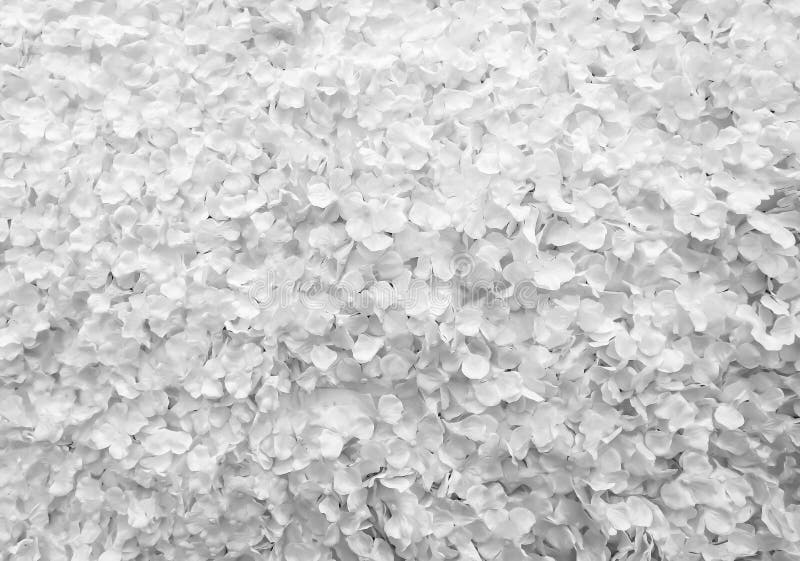 White Floral Texture Pattern Decorates a Beautiful Wall Stock Image ...