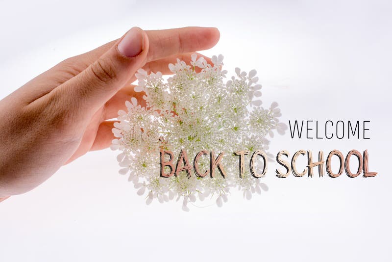 A White Flower stock photo. Image of floral, natural - 156522802