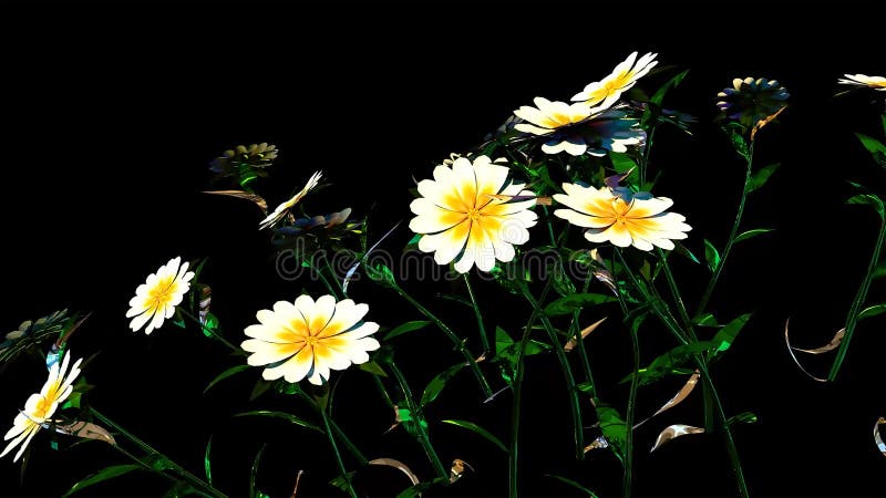 White Flower Botanical Rendering Stock Illustration - Illustration of ...