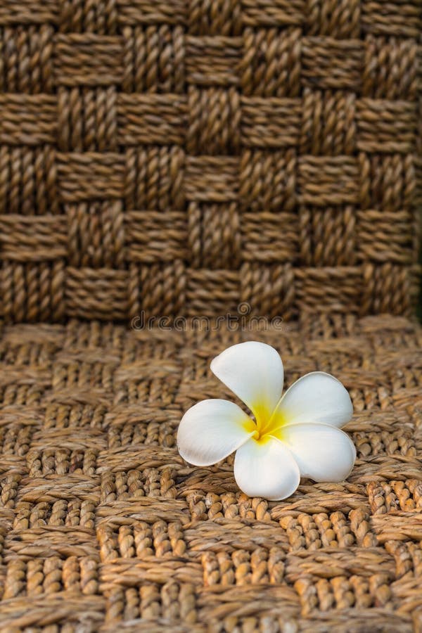 White flower stock image. Image of abstract, traditional - 69186429