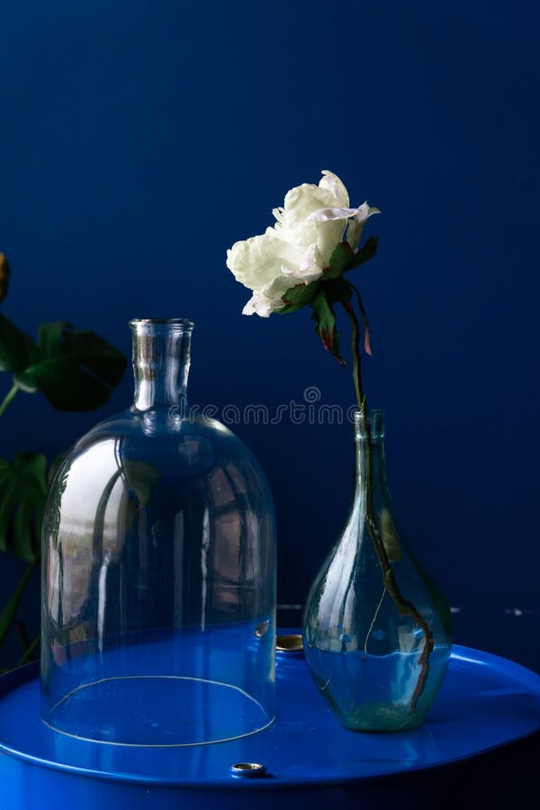 White Flower in a Glass Bottle on a Blue Background Stock Image - Image ...