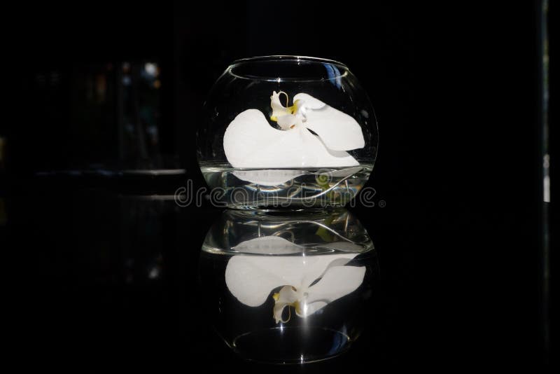 The White Flower in the Glass of Water on the Table Stock Image - Image ...