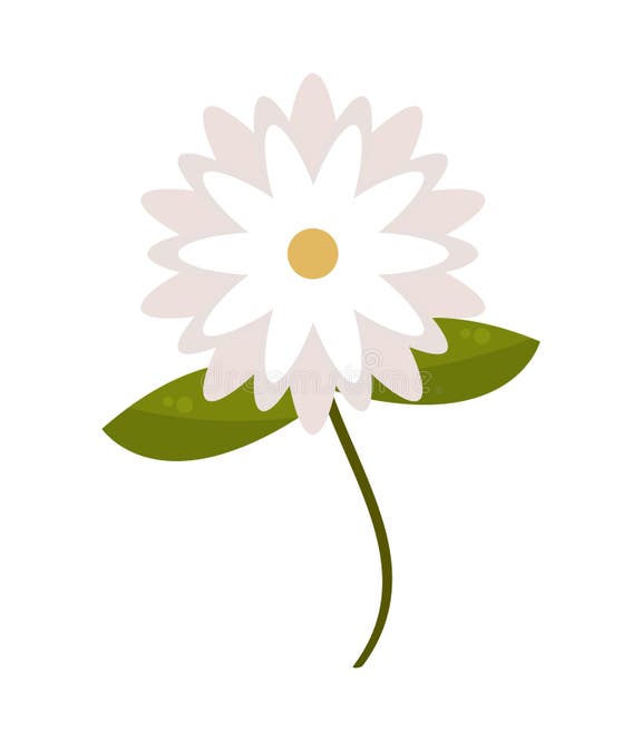 White flower icon stock illustration. Illustration of herb - 255462051