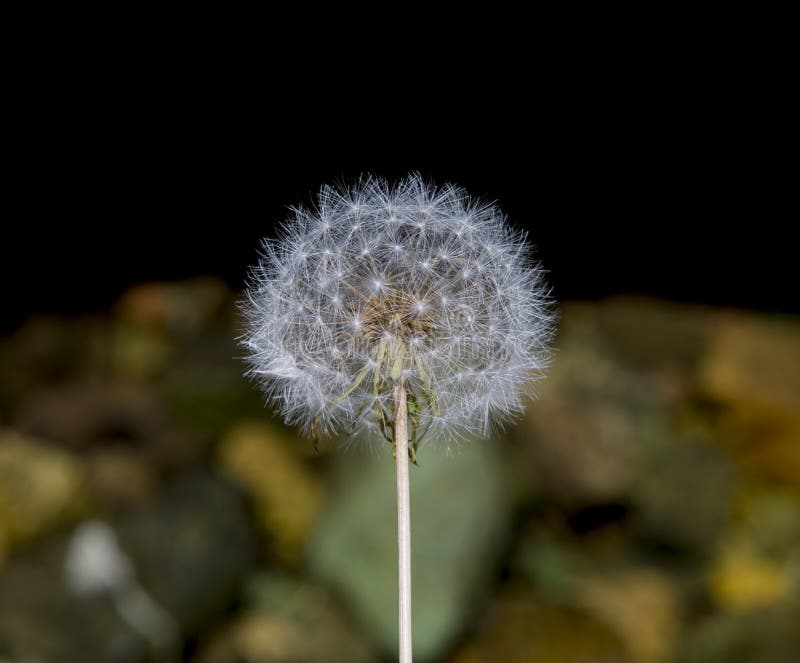 White stock photo. Image of white, pinnacle, nature, pinacle - 71101646