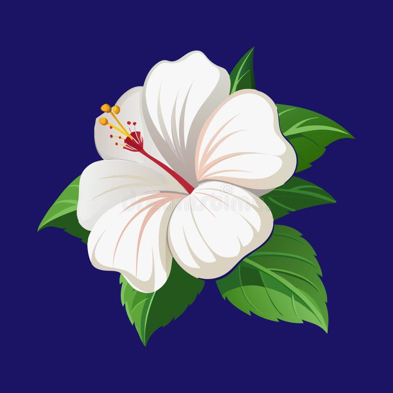 A White Flower with a Red Spot on it Stock Vector - Illustration of ...