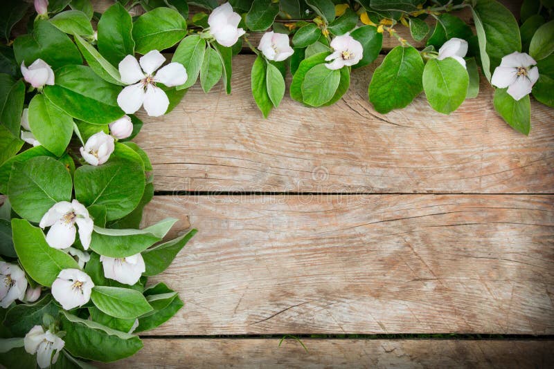 White Flowers Arrangement on a Rustic Wooden Table Stock Photo - Image ...