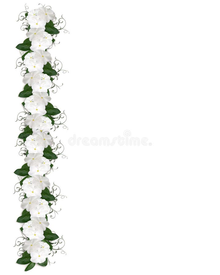 White Flowers Border stock illustration. Illustration of floral - 6951542