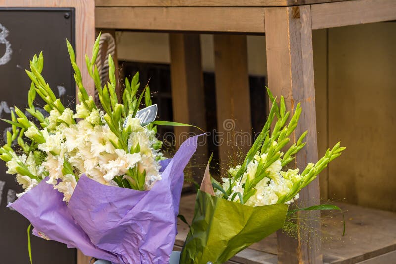 White flowers stock photo. Image of flowers, slovakia - 159319580