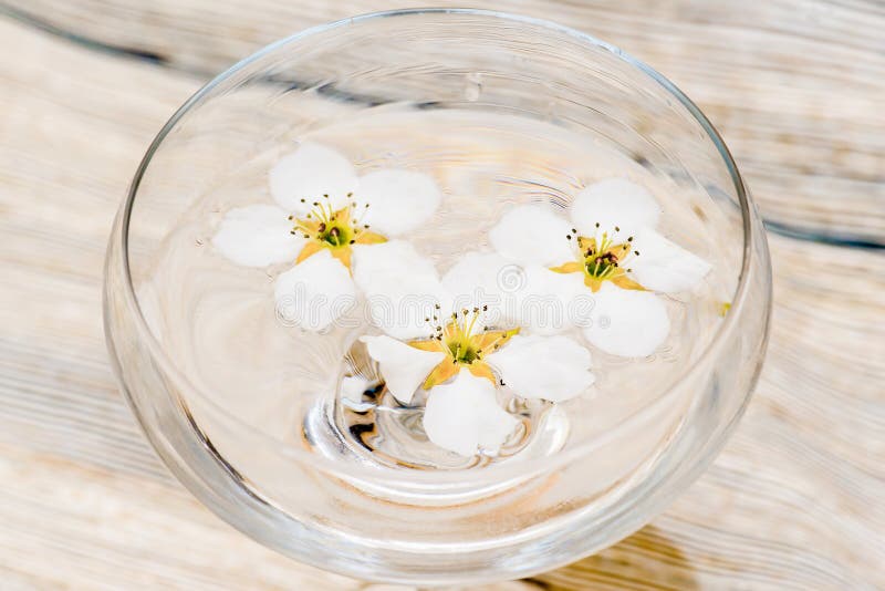 White Flowers Floating in a Glass Stock Photo - Image of fresh ...