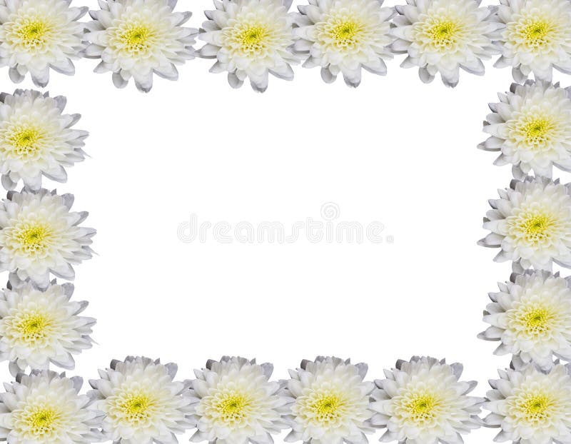 White flowers frame stock photo. Image of flora, design - 17358048