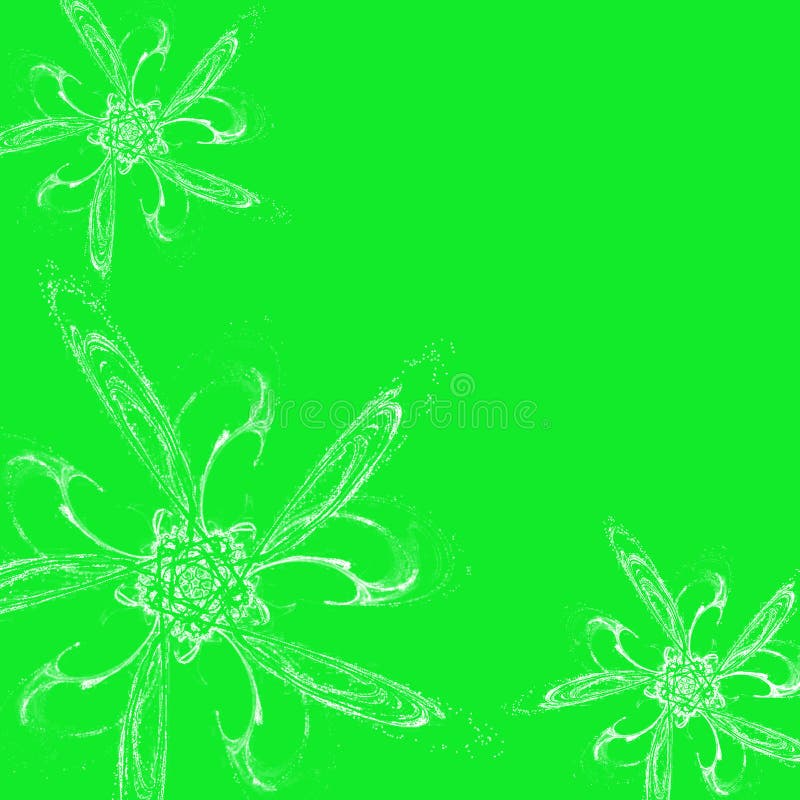 White Flowers On Green Background Picture. Image: 1689758