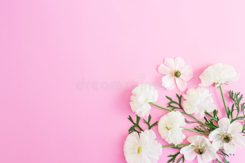 Pink Floral Pattern Composition of Rose Flowers on White Background ...
