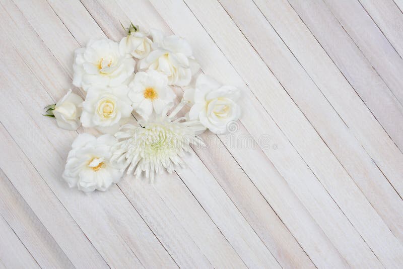 White Flowers on White Wood Table Stock Image - Image of chrysanthemum ...