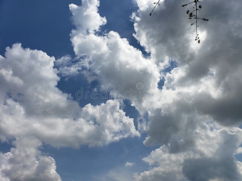 White Fluffy Clouds Drifting Across a Blue Sky Stock Photo - Image of sunlight, cumulus: 348386254