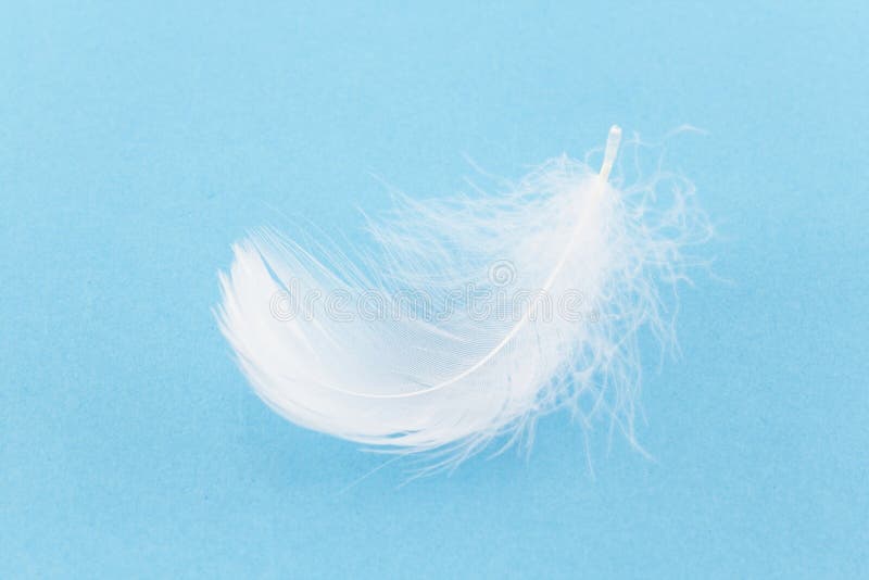 Feather on the blue sky stock photo. Image of plumule - 9018544
