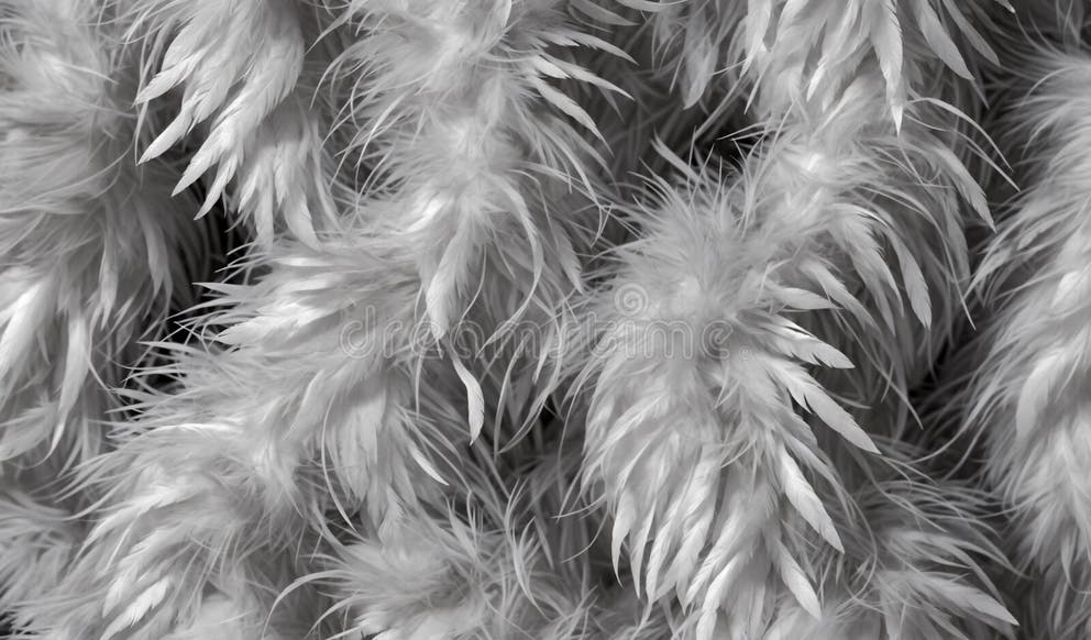 White Fluffy Feather Boa with Stock Illustration - Illustration of ...