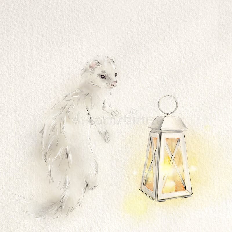 White fluffy sable stock illustration. Illustration of mammal - 212255760