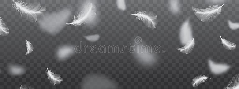 Goose Plume Pattern Stock Illustrations – 236 Goose Plume Pattern Stock ...