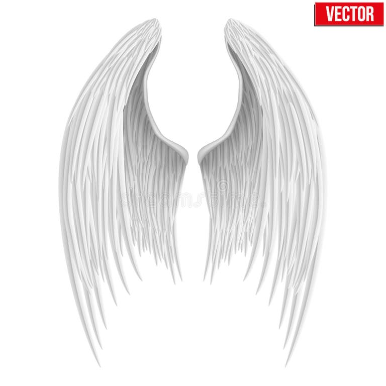 Folded Wings Stock Illustrations – 1,765 Folded Wings Stock ...