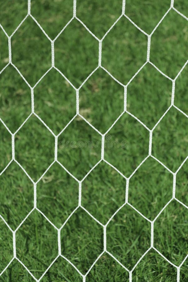 White football net. stock photo. Image of league, green - 38559998
