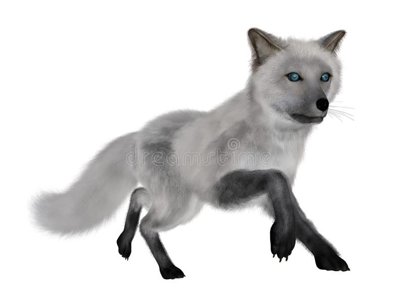 White Fox Running - 3D Render Stock Illustration - Illustration of ...