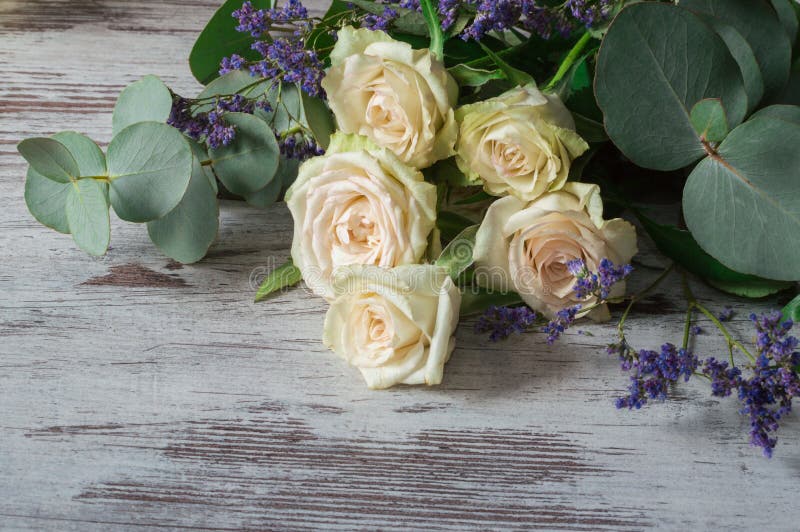 White Fragrant Roses with Branches of Eucalyptus on Gray Background ...