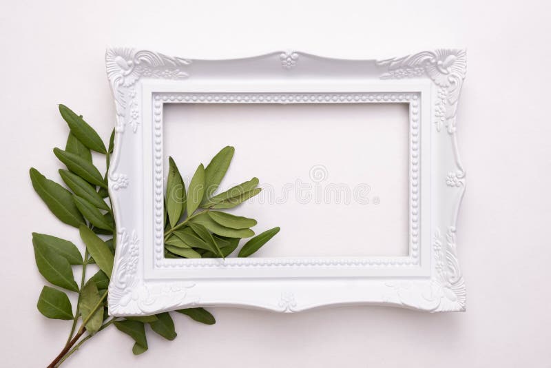 White Frame for a Photo on a White Background and Under it a Branch of ...