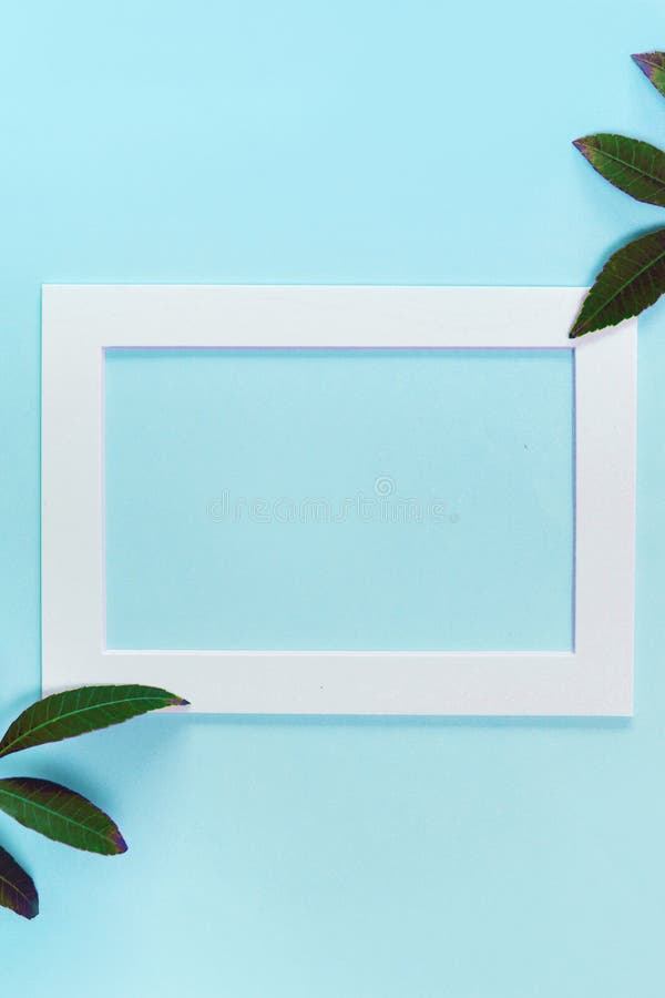 White Frame with Plants, Leaves and Branches on Pink Background with ...