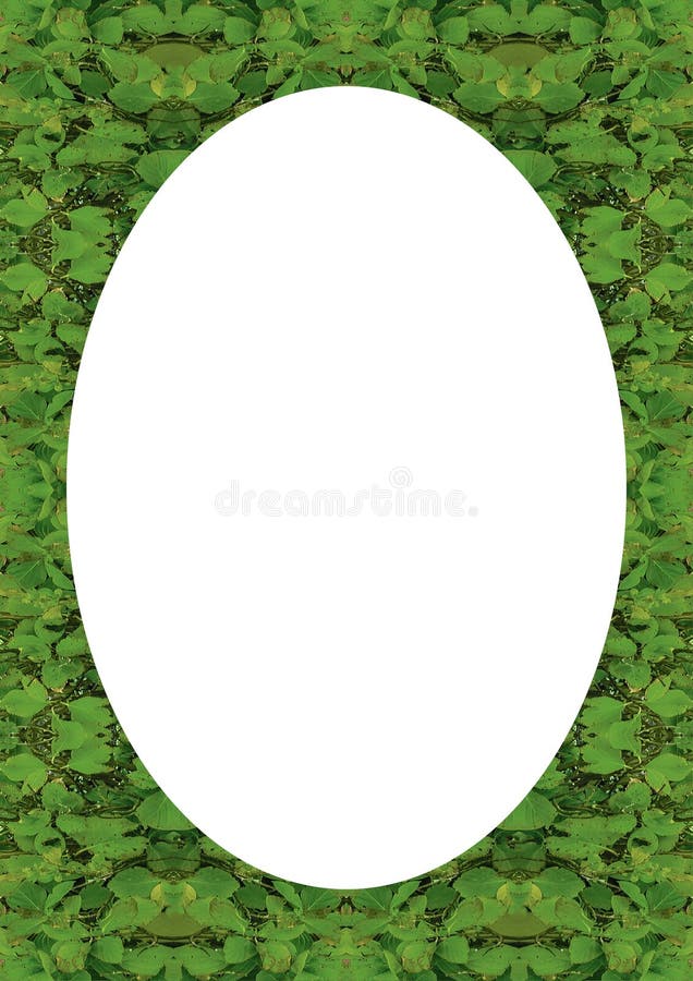 White Frame with Rounded Leaves Borders Stock Photo - Image of plants ...