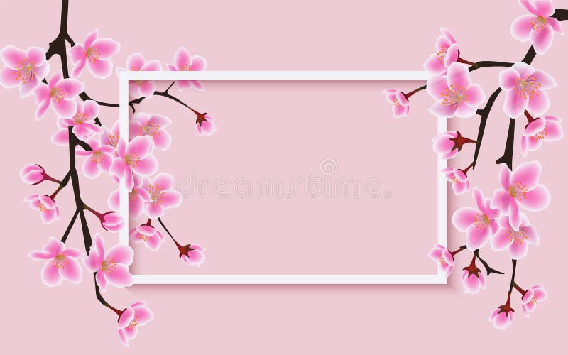 White Frame with a Sakura or Cherry Vector Illustration on a Pink ...