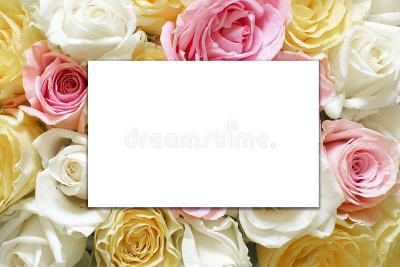 White Frame for Text on a Background with Beautiful Flowers of Roses ...
