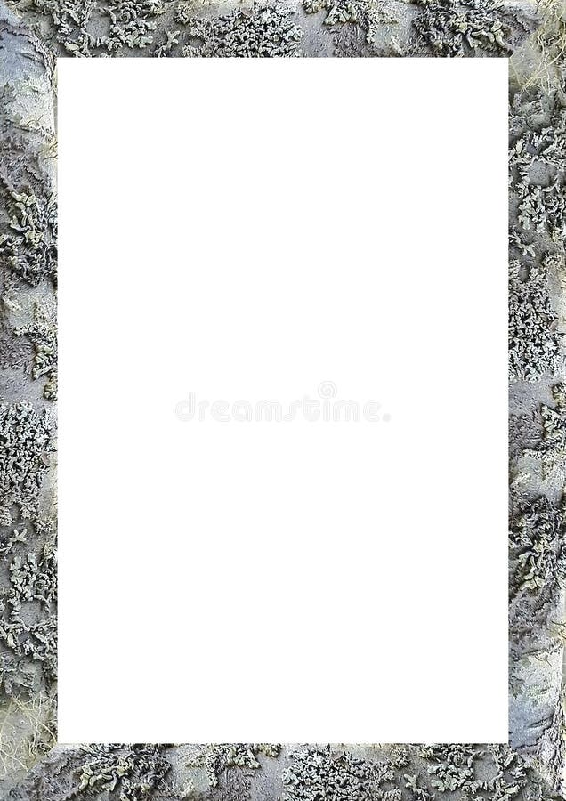 White Frame with Textured Tree Texture Edges Stock Illustration ...