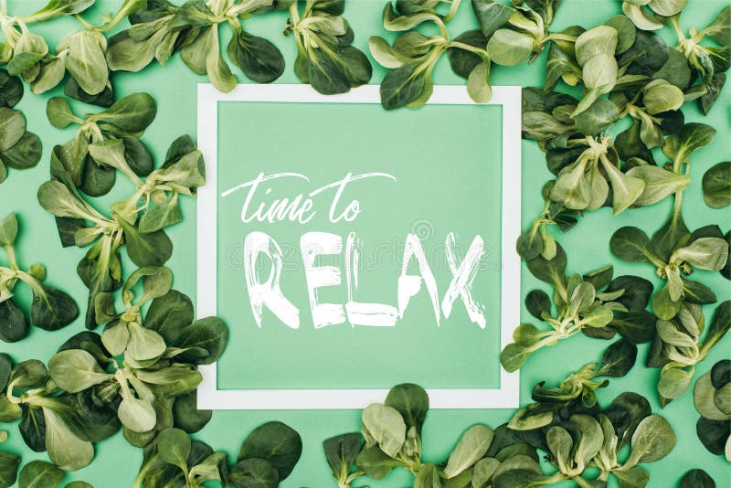 White Frame with Words Time To Relax and Fresh Green Leaves Stock Image ...