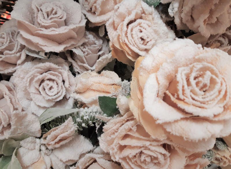 25th Wedding Anniversary Floral Bouquet Stock Photo - Image of bunch ...