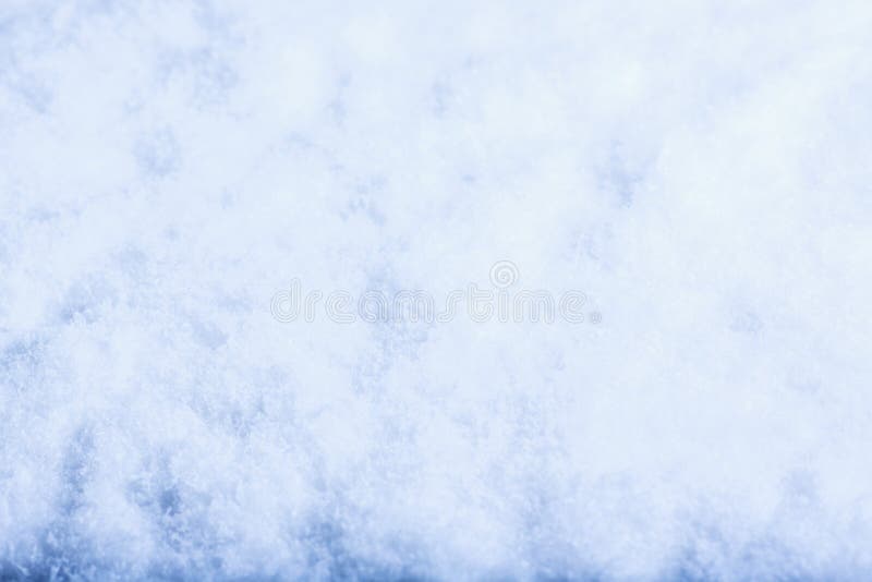 White frost on the trees stock image. Image of frost - 83735321