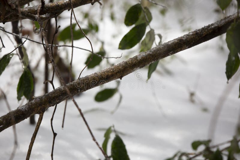 White, Frozen Ground stock image. Image of frozen, outdoors - 231414253