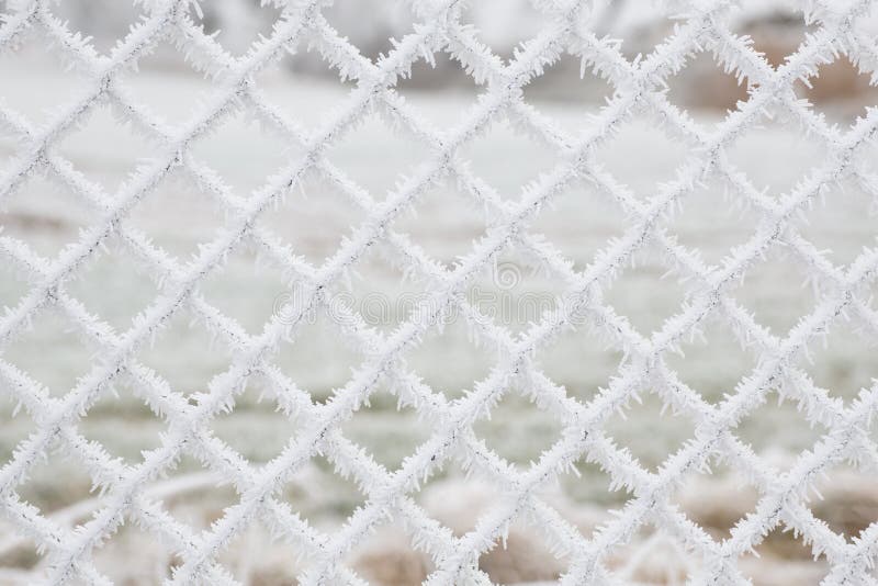 White Frozen Snow Flakes Background Stock Photo - Image of border ...