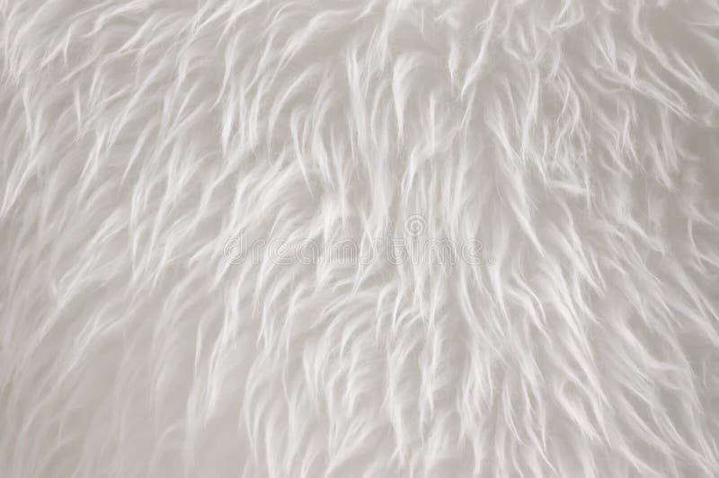 White fur stock image. Image of abstract, fleece, white - 34504105