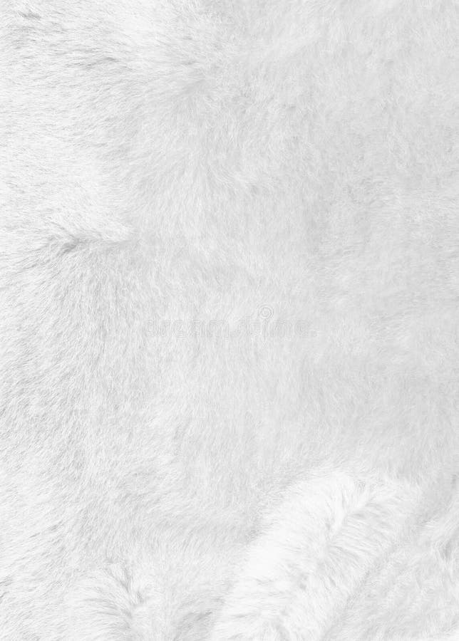 29,984 White Fur Texture Stock Photos - Free & Royalty-Free Stock ...
