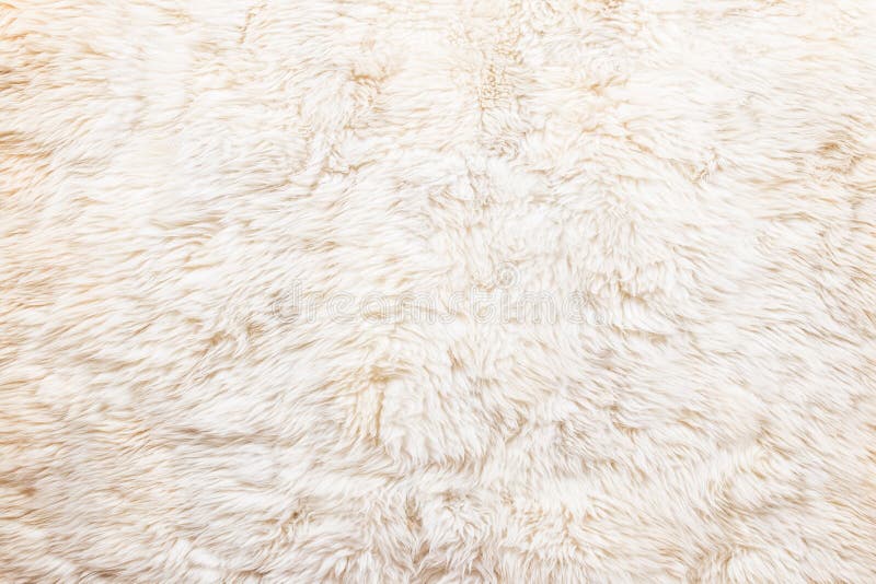 White fur carpet stock image. Image of fashion, textile - 47150737