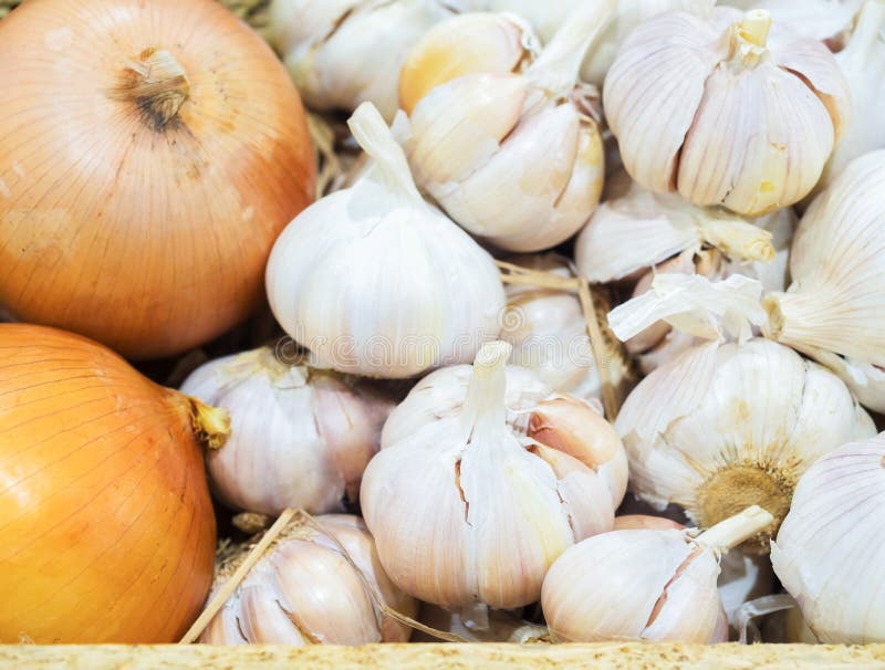 White Galic in the Kitchen Box Stock Photo - Image of eating, organic ...