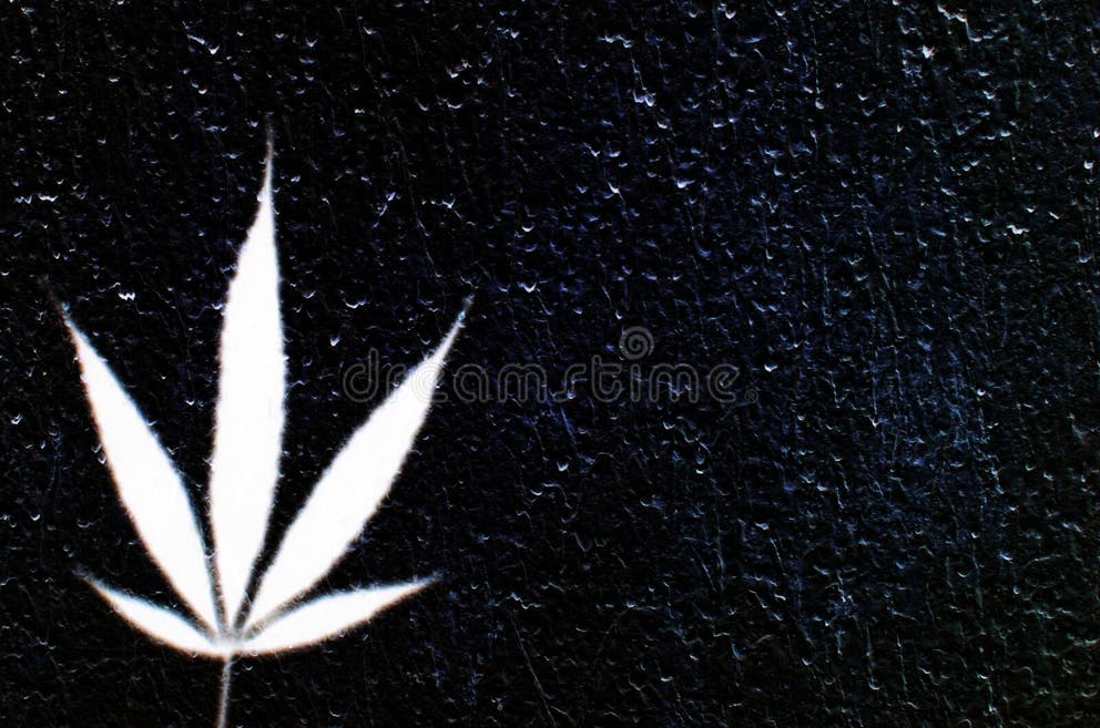 White Ganja Leaf Abstract Background Stock Photo - Image of grainy ...